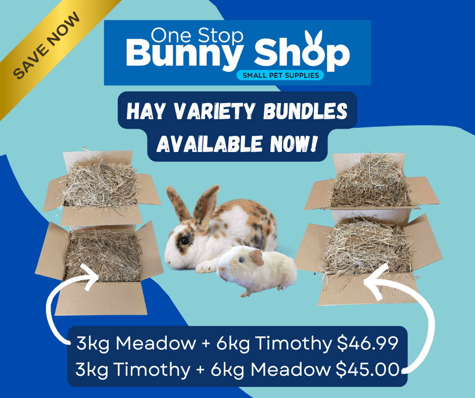 Rabbit & Guinea Pig Supplies NZ | One Stop Bunny Shop