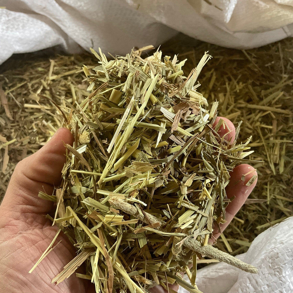 Premium Hay, feed and products for Bunnies and other small animals ...